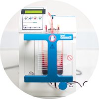 About Cord Blood